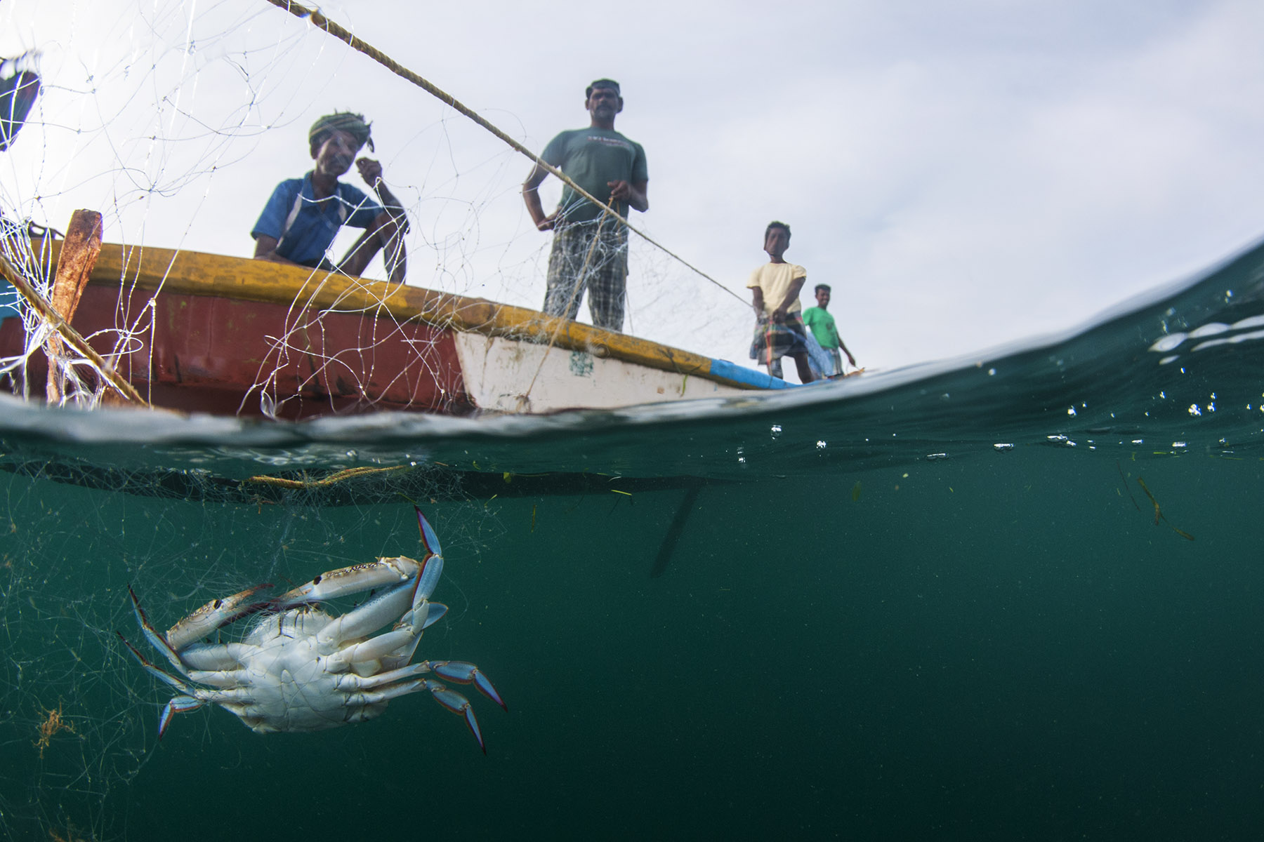 An Interview with Marine Photographer Umeed Mistry – Flyway
