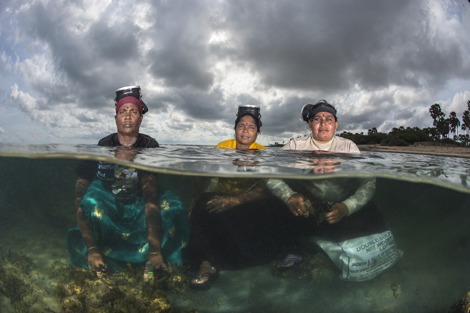 An Interview with Marine Photographer Umeed Mistry – Flyway