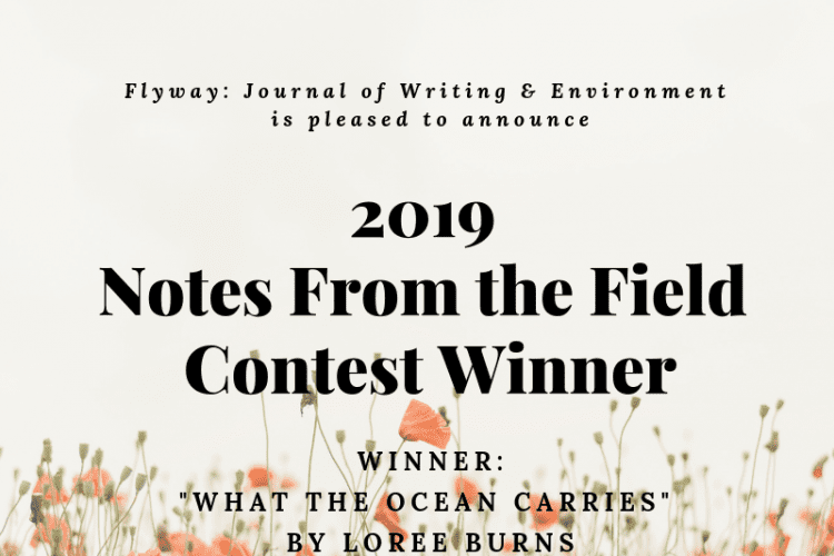 Flyway – Journal of Writing & Environment
